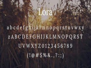 Lora Font Family Free Download - Fonts Empire