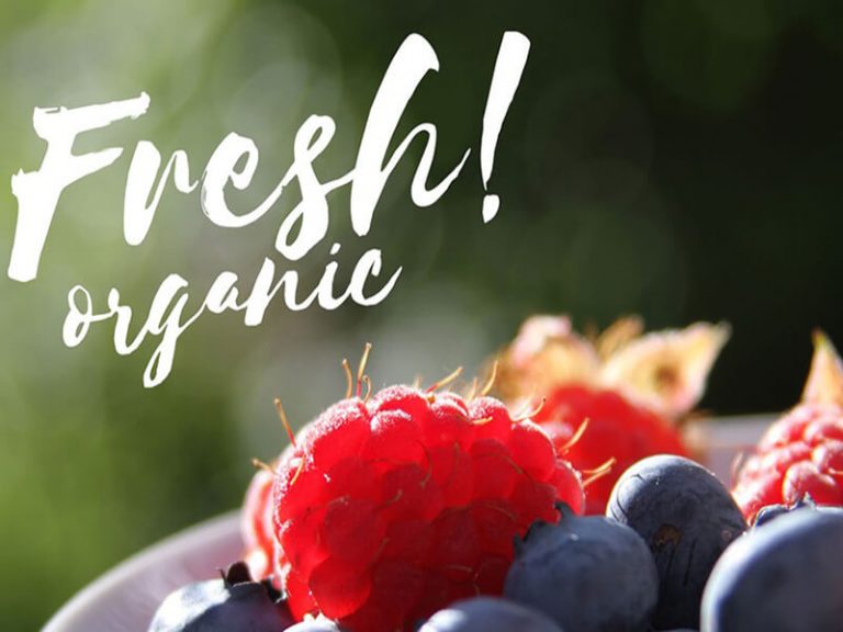 Selima Font Free Download - Fonts Empire