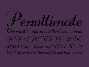 Rechtman Font Free Download - Fonts Empire