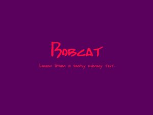 Bobcat Font Free Download - Fonts Empire